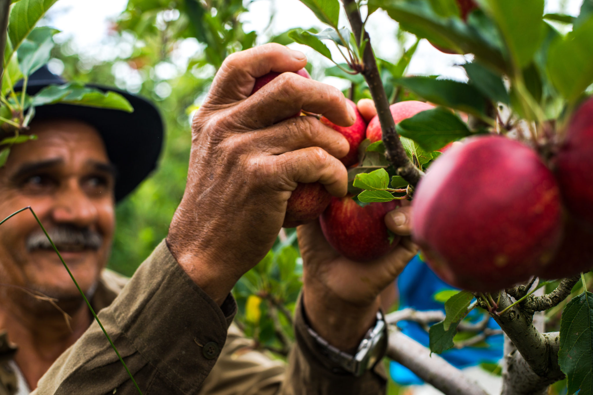 Guide to Recruiting Foreign Workers - AW Labor Solutions